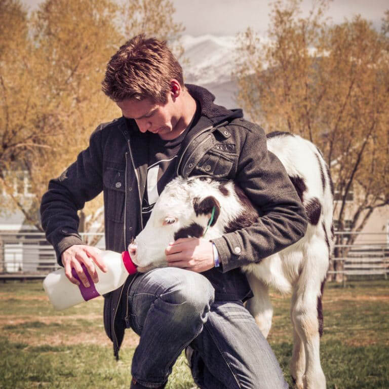 Top Teen Residential Treatment Center for Boys | Discovery Ranch